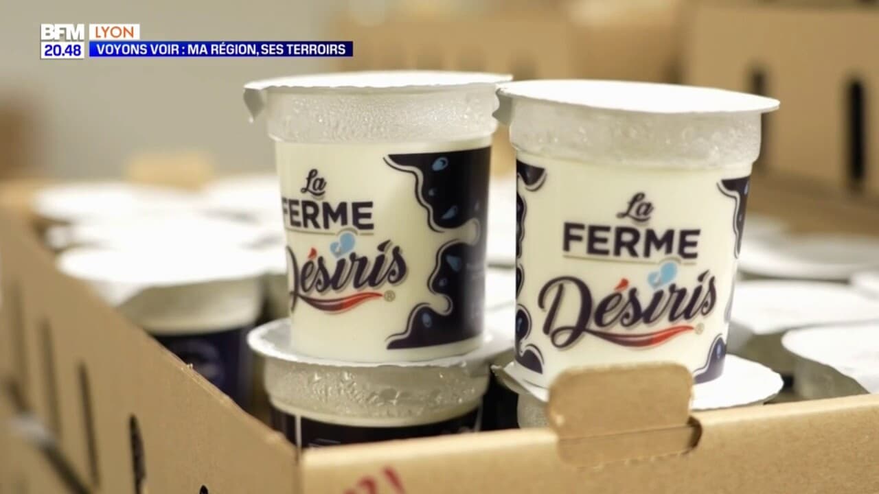 Voyons Voir : la Région, ses terroirs