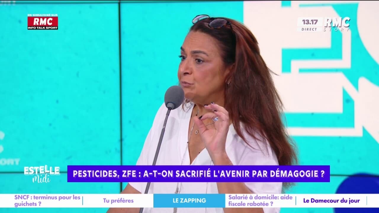 ZFE/Pesticides : "Dès qu'on n'est pas d'accord avec ces espèces de bobo ...