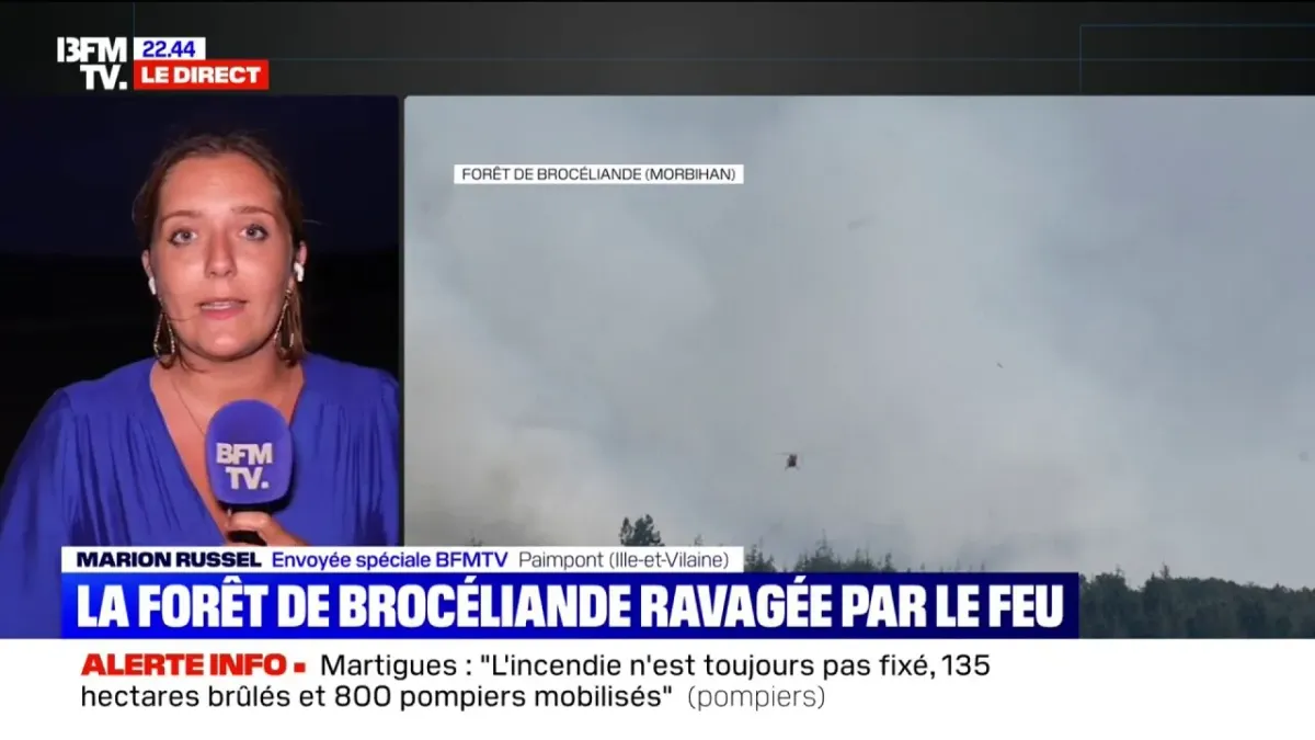 Brocéliande: en quelques heures, 120 hectares sont déjà partis en fumée