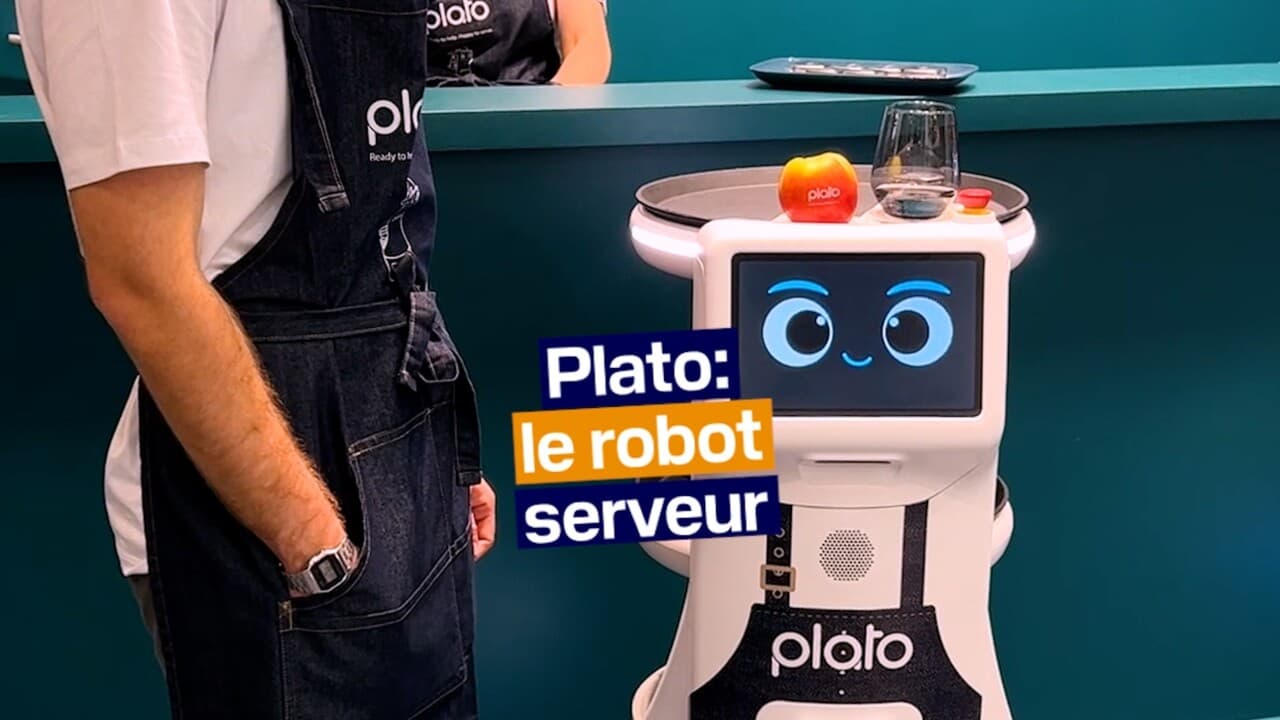 On a testé "Plato", le robot serveur