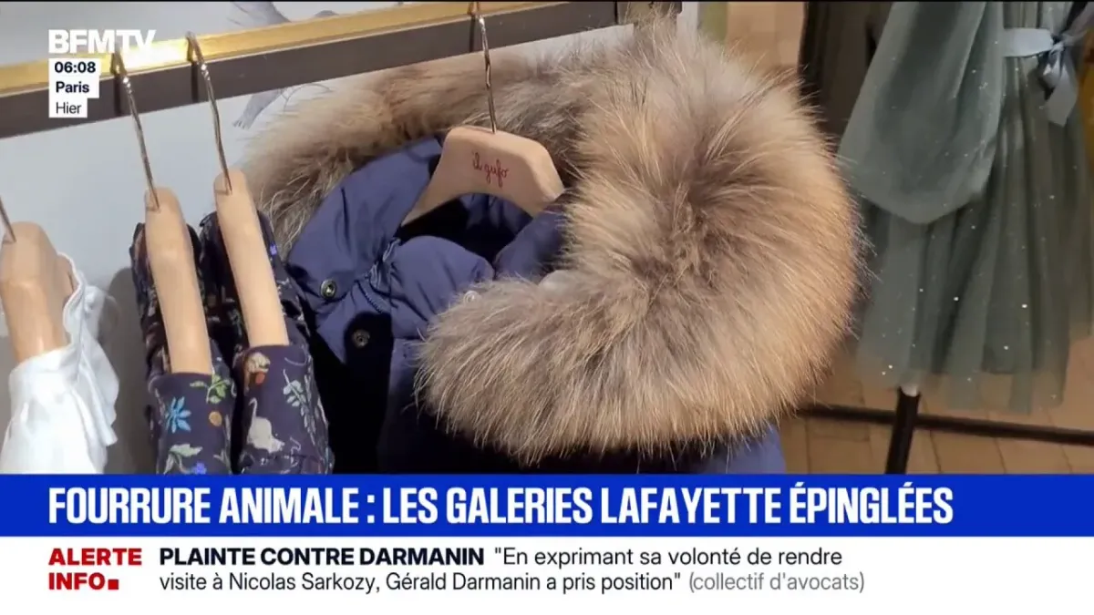 Les Galeries Lafayette commercialisent de la fourrure animale sous ...