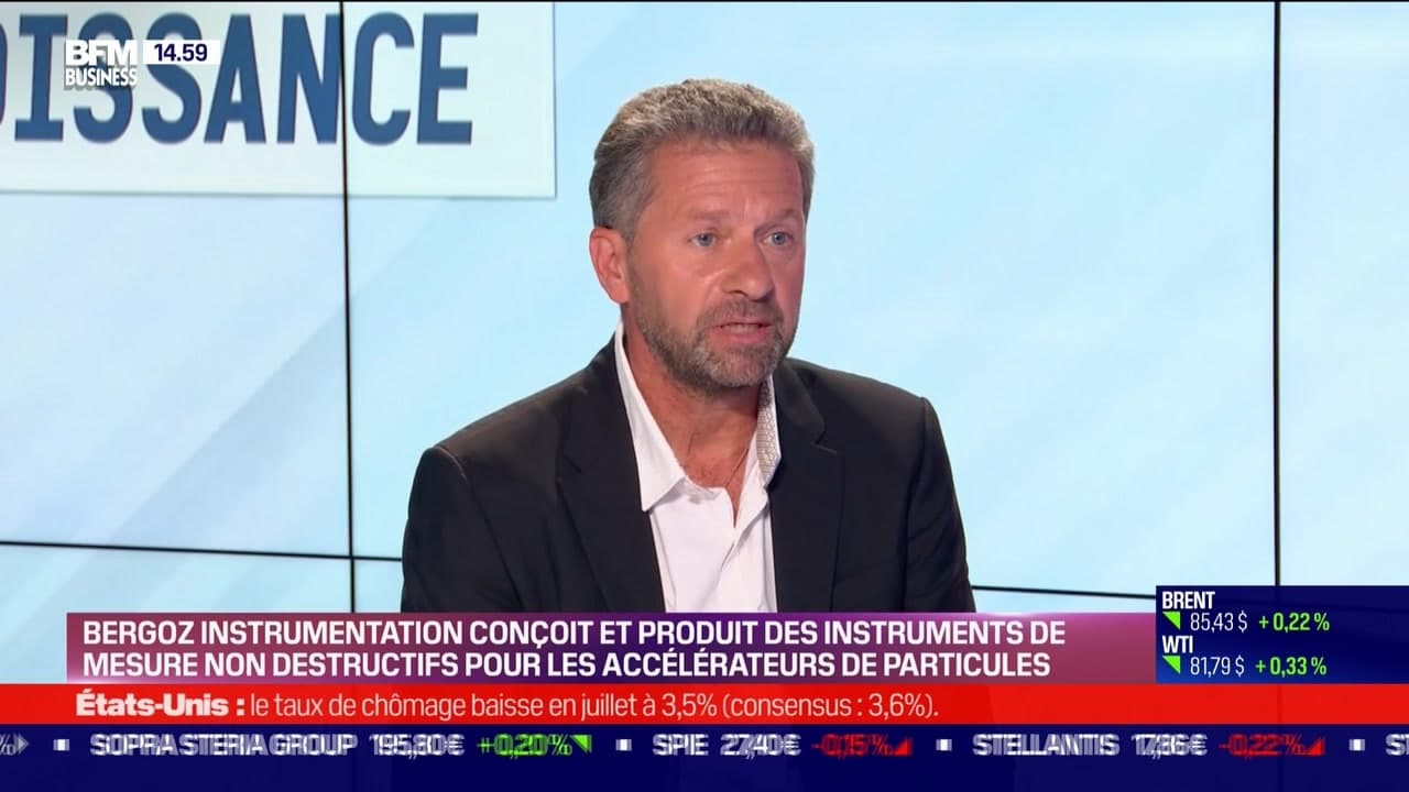 Étienne Touzain (Bergoz Instrumentation) : Bergoz Instrumentation ...