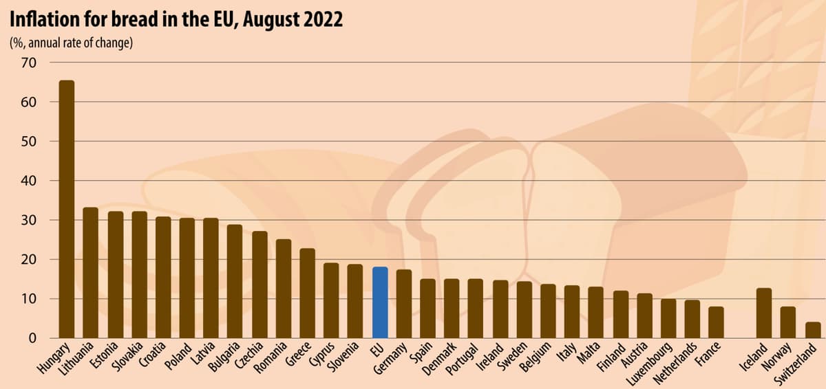 Inflation: en Europe, le prix du pain a flambé de 18% en un an, la ...