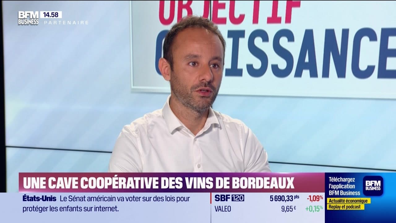 Thomas Sidky (Vignerons de Puisseguin Lussac Saint-Émilion) : Une cave ...