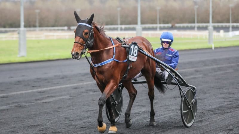 Prix de France Speed Race : La voie est libre pour Go On Boy