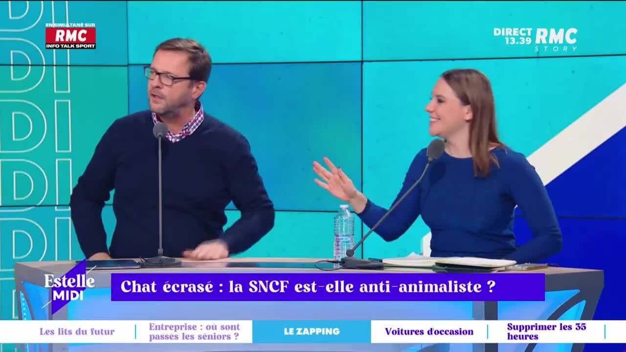 Le Zapping RMC - 23/01
