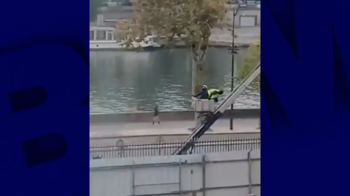 Cambriolage au Louvre: les images des voleurs quittant le musée avec un ...