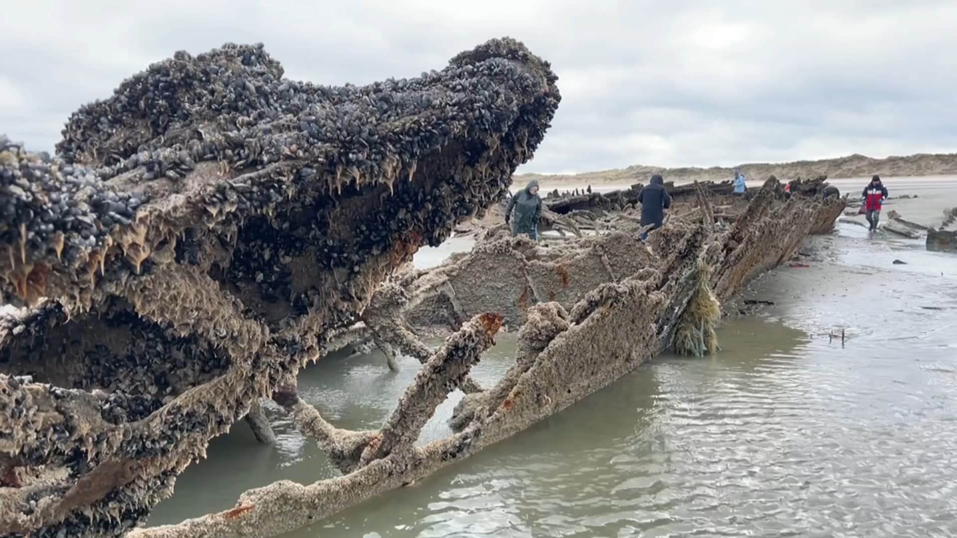 Grandes marées: des épaves de navires de plus de 80 ans ont refait ...