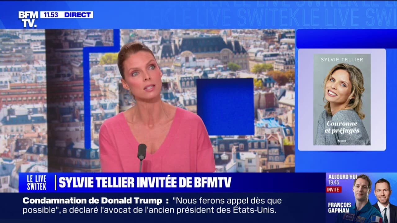 "J'ai l'image de cette femme un peu stricte": Sylvie Tellier, ex ...