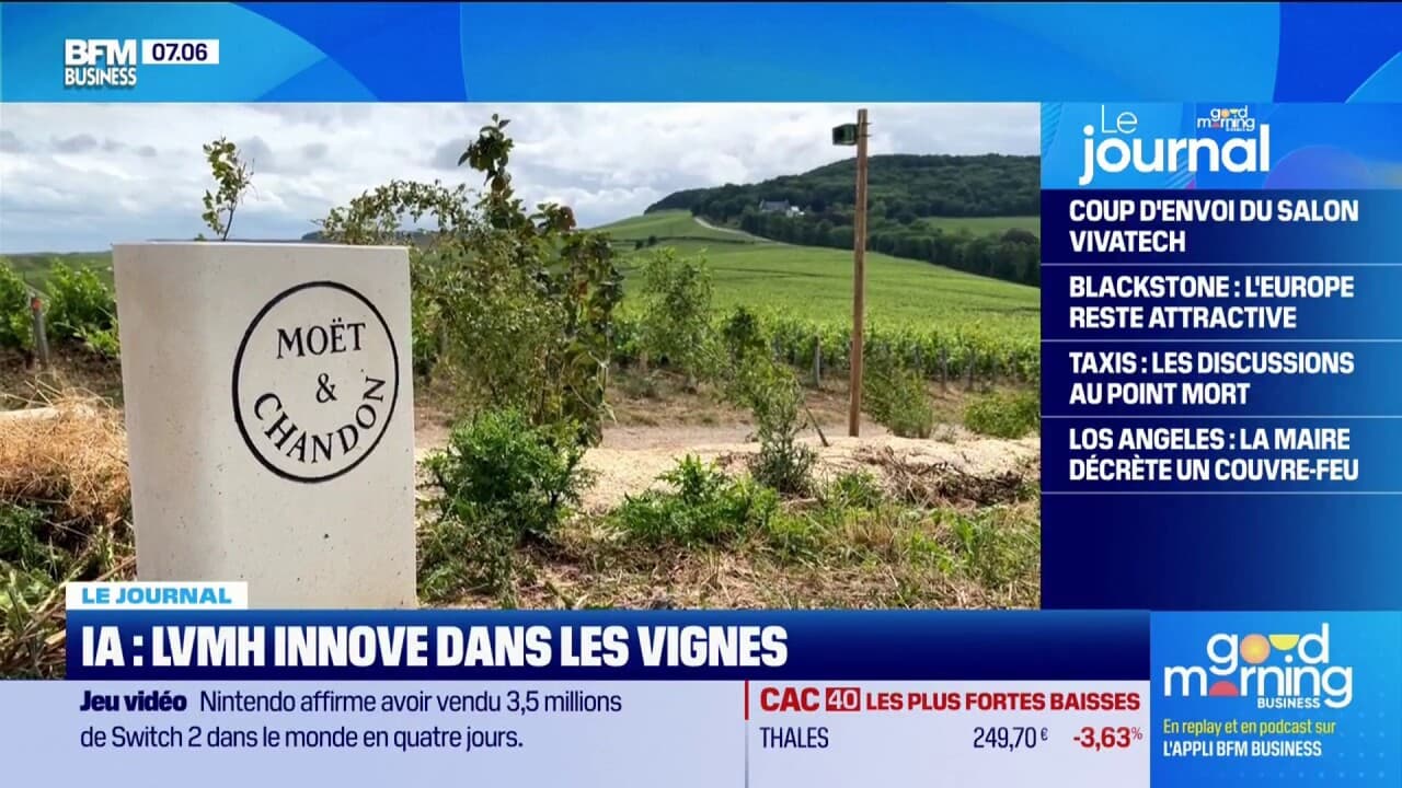 La maison de champagne Moët et Chandon de LVMH utilise une IA pour ...