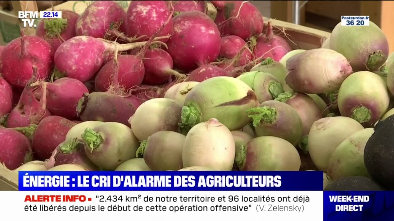 Énergie: les agriculteurs alertent sur le risque de hausse des prix des ...