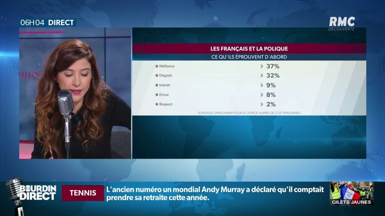 "Méfiance" et "dégoût": quand les Français parlent de la politique