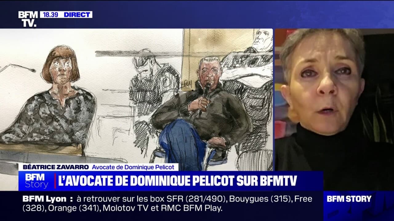Viols de Mazan: la condamnation de Dominique Pelicot "est définitive ...