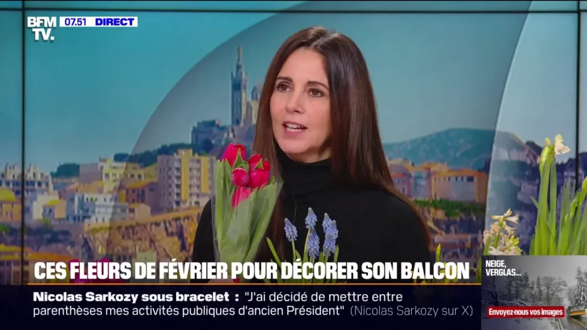 Comment décorer son balcon avec des fleurs de saison?