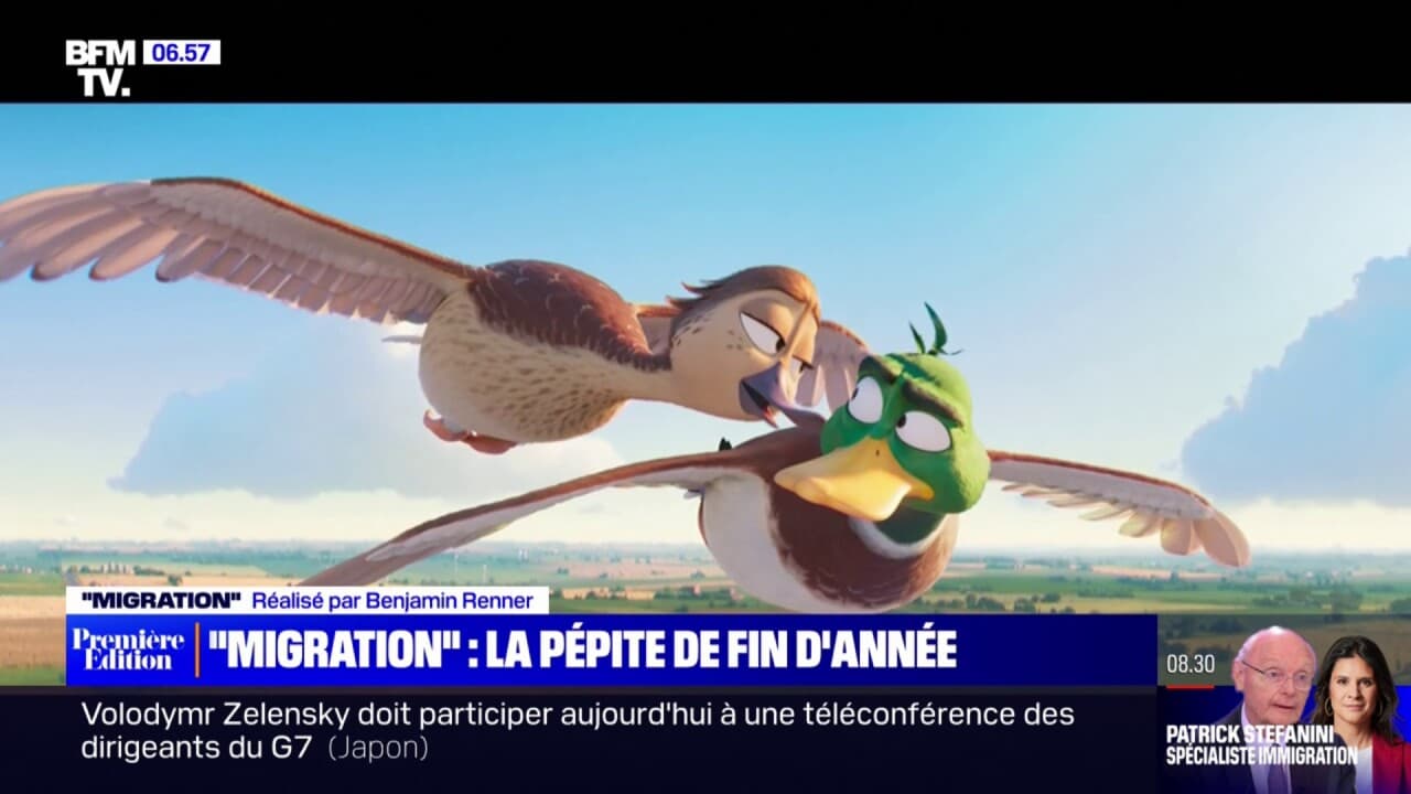 "Migration", le nouveau film d'animation du studio Illumination, sort ...
