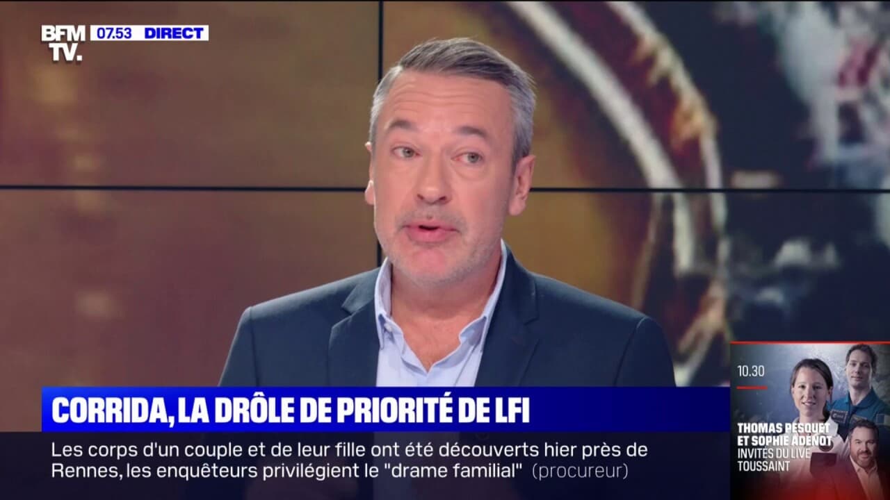 ÉDITO - Tauromachie: le "curieux sens des priorités" de LFI