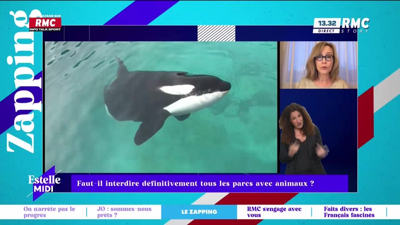 Le Zapping RMC - 29/03