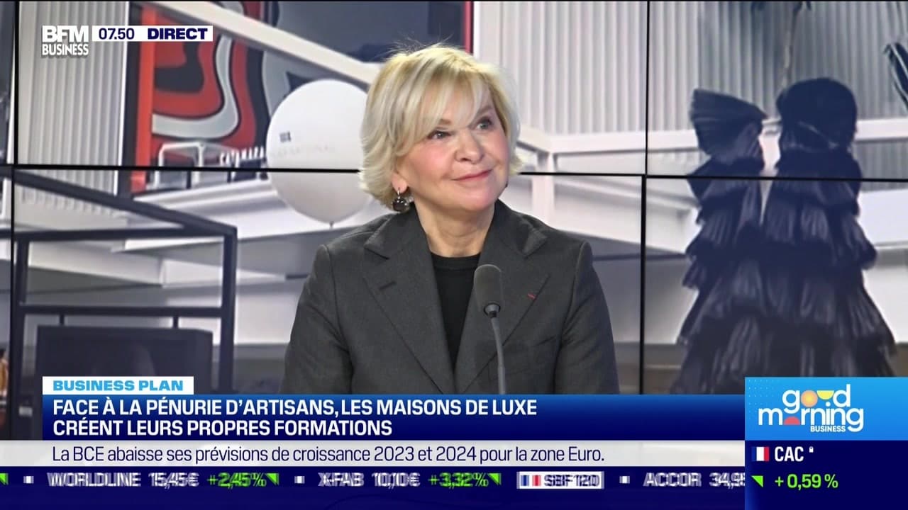 Bénédicte Epinay (Comité Colbert) : Luxe, comment attirer les talents ...