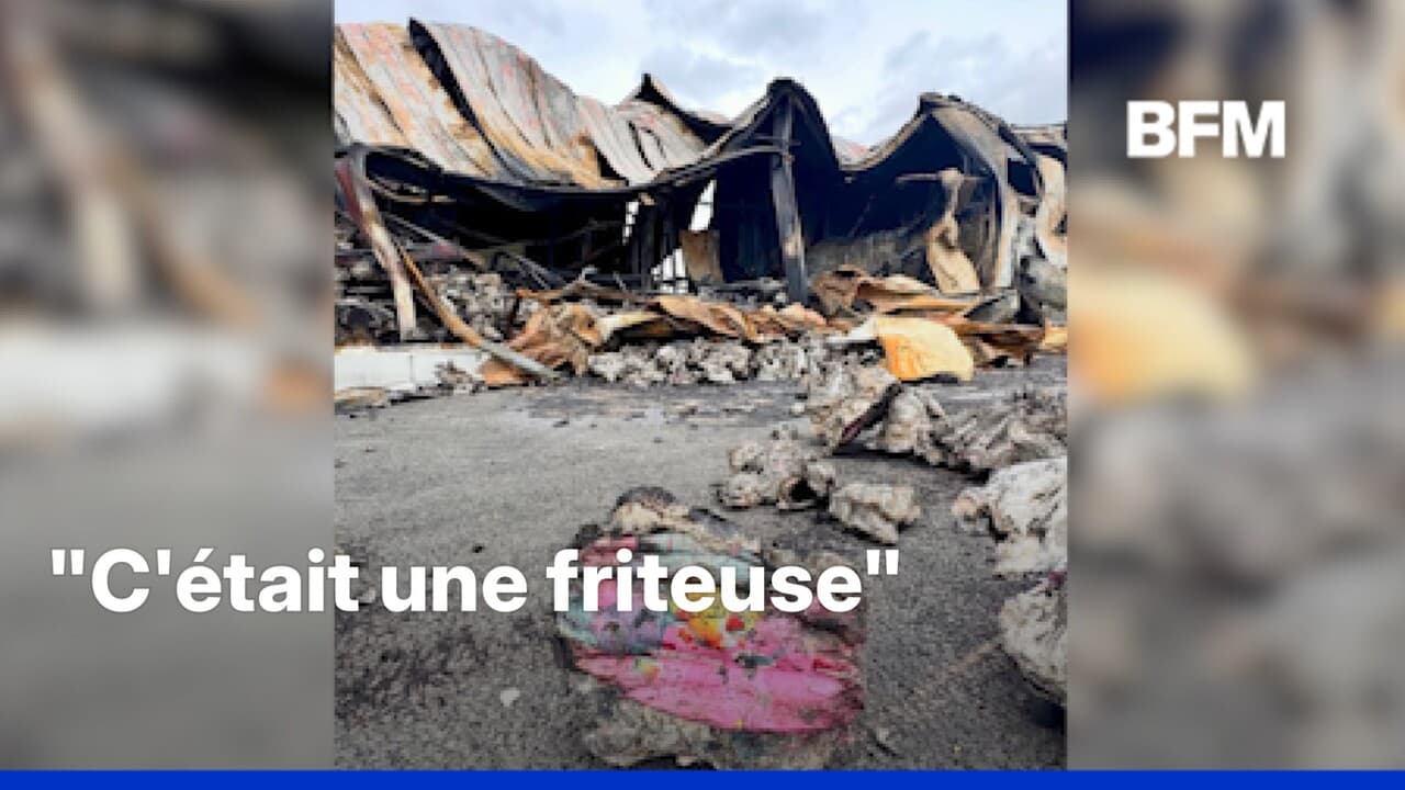 McFly et Carlito: la ferme qui produit leurs chips a été détruite par ...