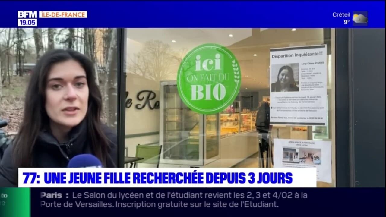 Seine-et-Marne: une femme de 25 ans portée disparue depuis près d'une ... Seine-et-Marne: une femme de 25 ans portée disparue depuis près d'une ...