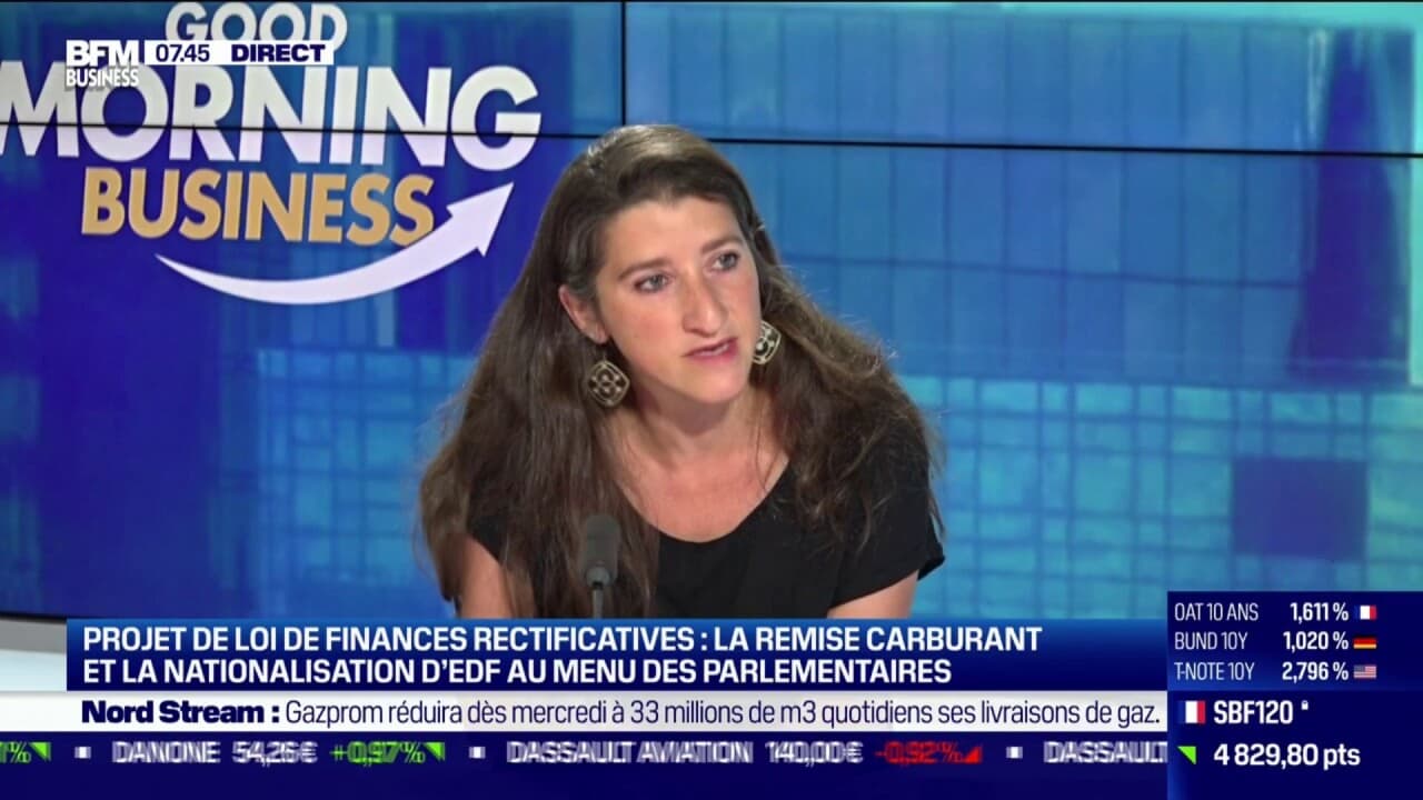 Projet de loi de finances rectificative: la nationalisation d'EDF au ...