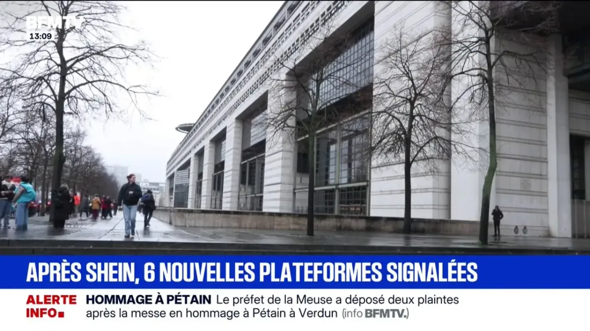 Après le scandale des poupées pédopornographiques sur Shein, la France ...