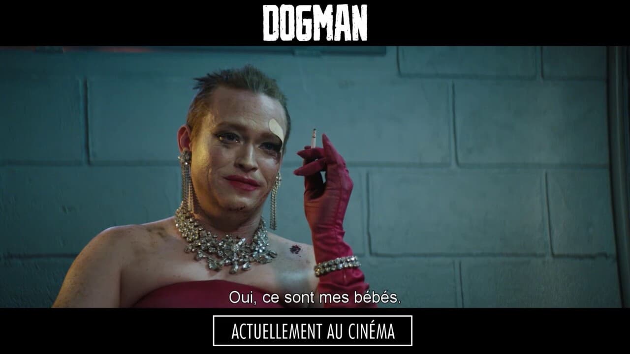 La nouvelle bande-annonce de Dogman La nouvelle bande-annonce de Dogman