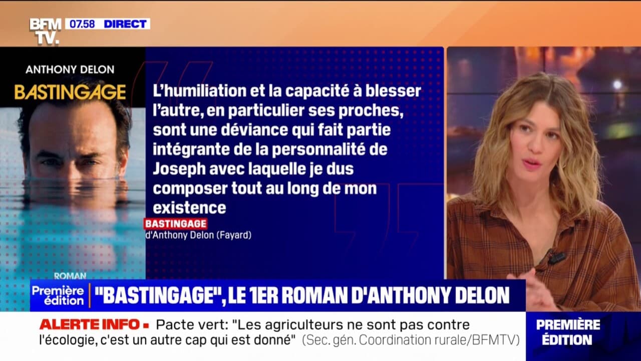 "Bastingage": le premier roman d'Anthony Delon, une fiction aux airs du ...