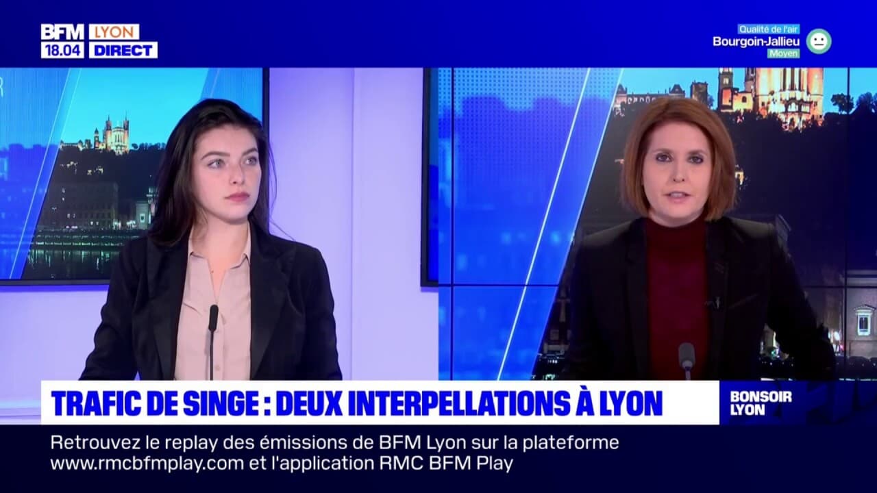 Trafic de singe : deux interpellations à Lyon Trafic de singe : deux interpellations à Lyon