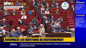 Hantavirus: "Tout est fait en transparence", assure la ministre de la ...