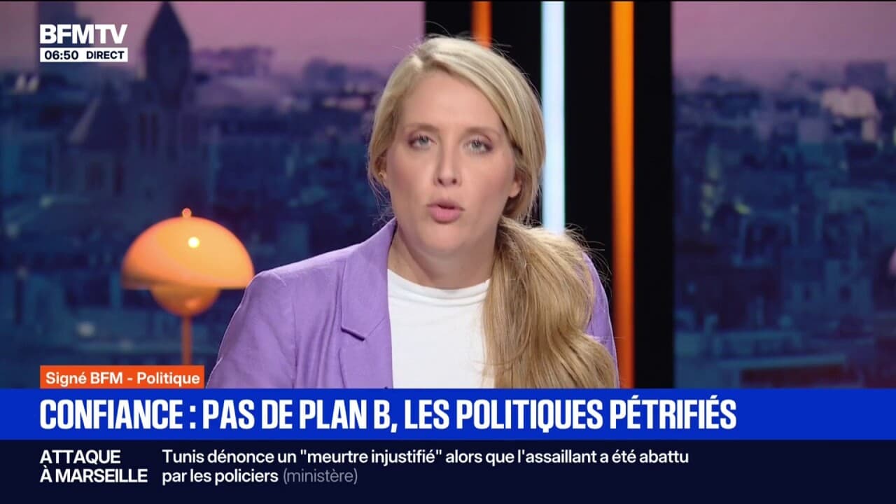 Signé BFM - Vote de confiance: que pourrait-il se passer en cas de chute du gouvernement?
