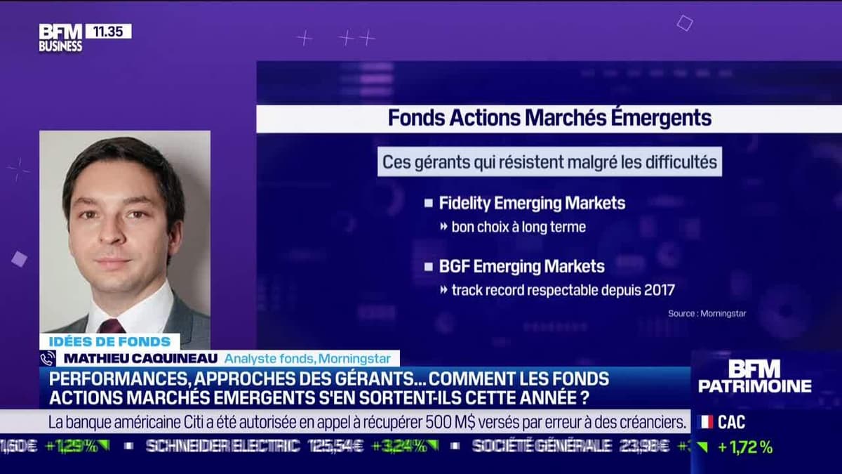Idée de fonds : Performances, approches des gérants ... comment les ...