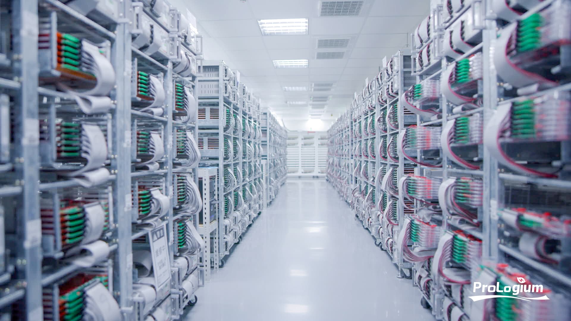 "La France a joué collectif": pourquoi ProLogium a choisi Dunkerque ...