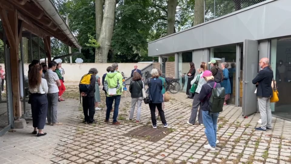 Strasbourg: le zoo de l'Orangerie va se transformer pour devenir un ...