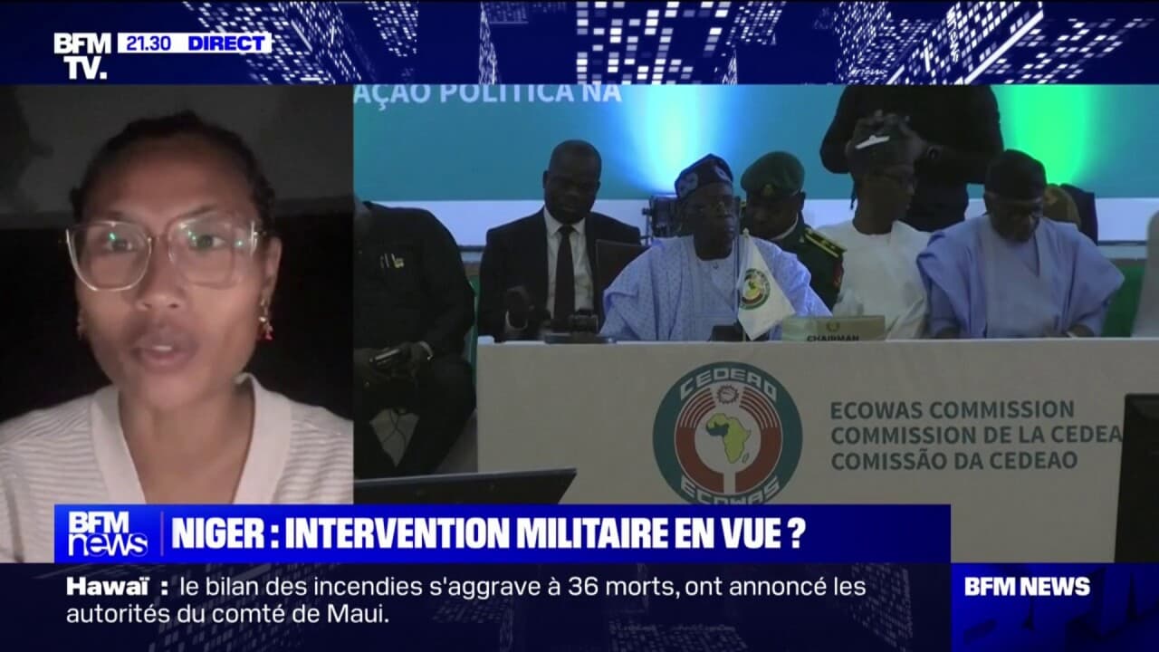 Niger: "Il fallait que la CEDEAO confirme sa prise de position", pour ...