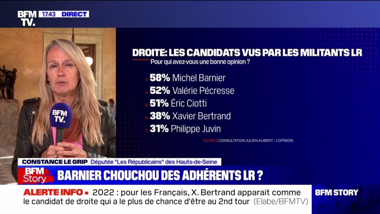 Congrès des Républicains: la députée Constance Le Grip va s'engager ...