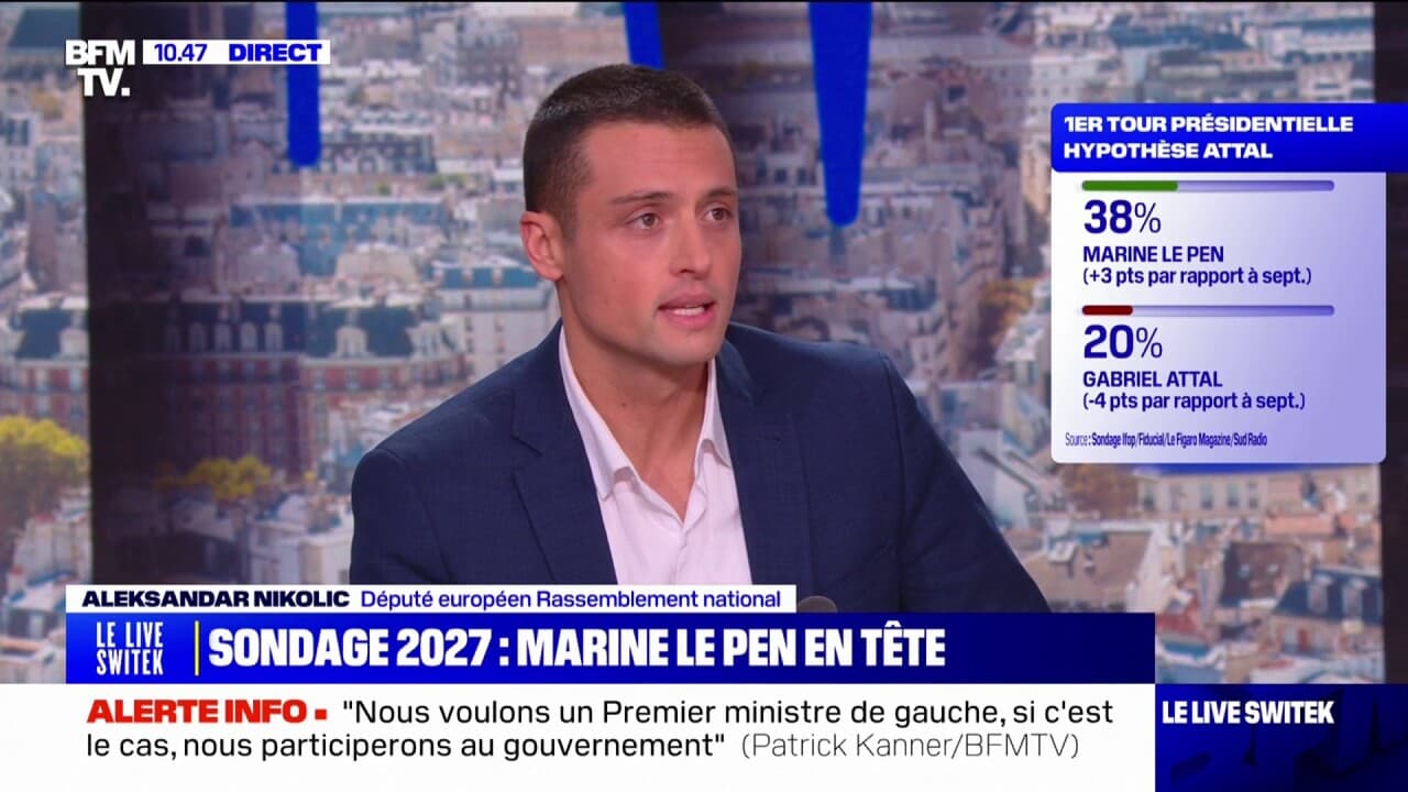 Présidentielle 2027: Aleksandar Nikolic (RN) "satisfait" du sondage ...