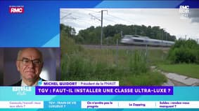 Le train est-il assez luxueux? La Fnaut plaide plutôt pour un "choc d ...