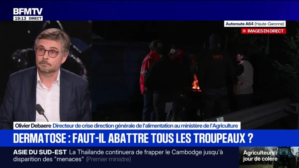 "Si vous mettez la vache de côté, vous ne mettez pas le virus de côté ...