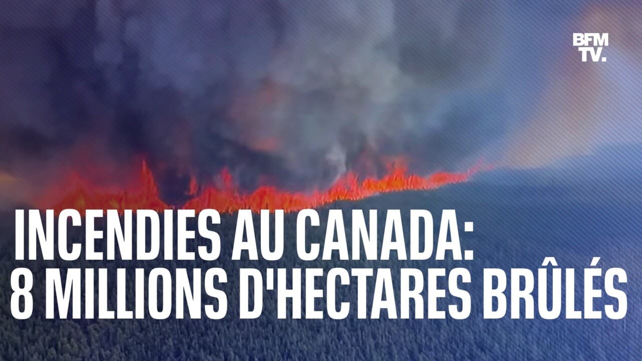 8 millions d'hectares de forêt partis en fumée au Canada: voici ce que ...