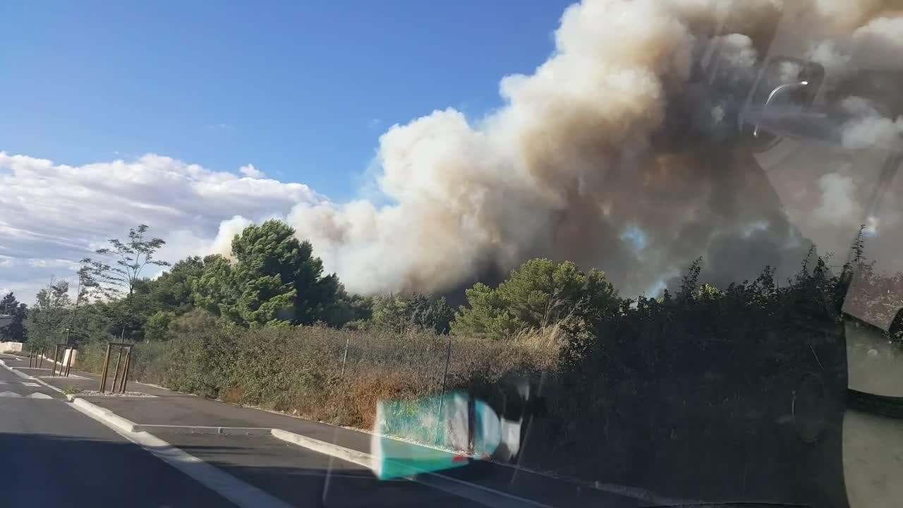 Feu de forêt Port-de-Bouc - Témoins BFMTV