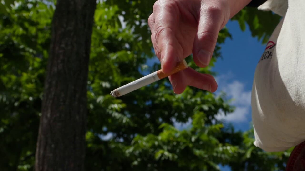 "J'en suis à 30 cigarettes par jour, c'est énorme": Deux fumeurs sur ...