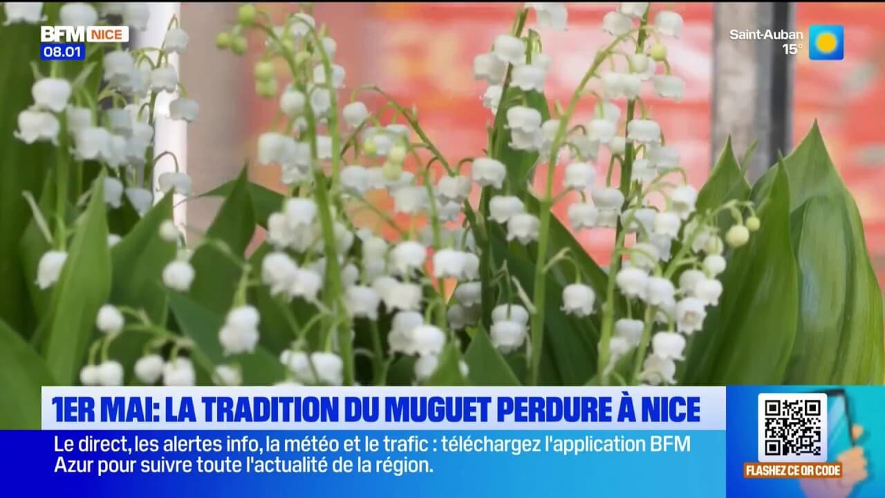 1er Mai : le traditionnel muguet fait toujours recette à Nice