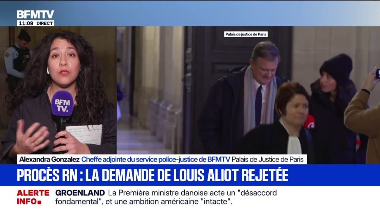 Procès en appel du RN: la demande de Louis Aliot d'être jugé après les ...