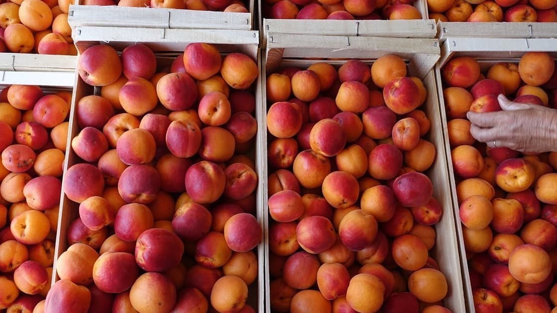 L'abricot des Baronnies enfin protégé, une bonne nouvelle pour les ...