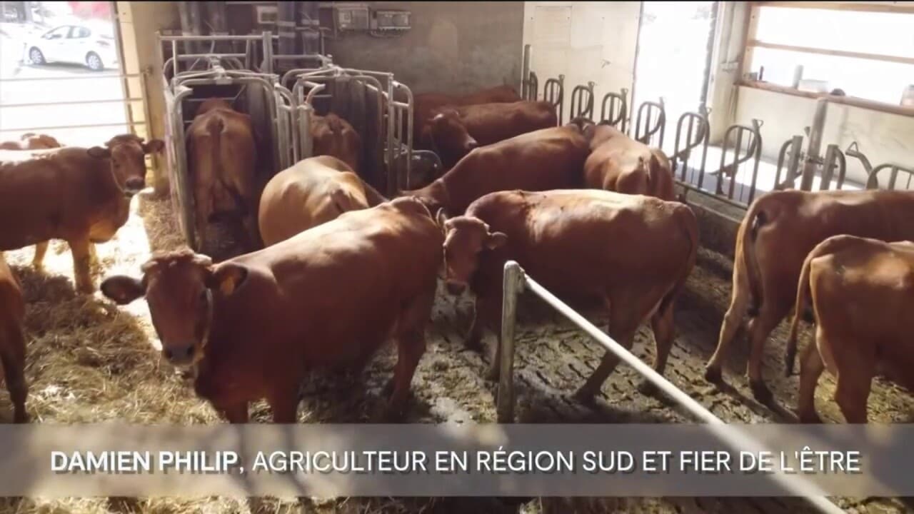 Agriculteurs du Sud : Damien PHILIP, agriculteur en Région Sud et fier ...