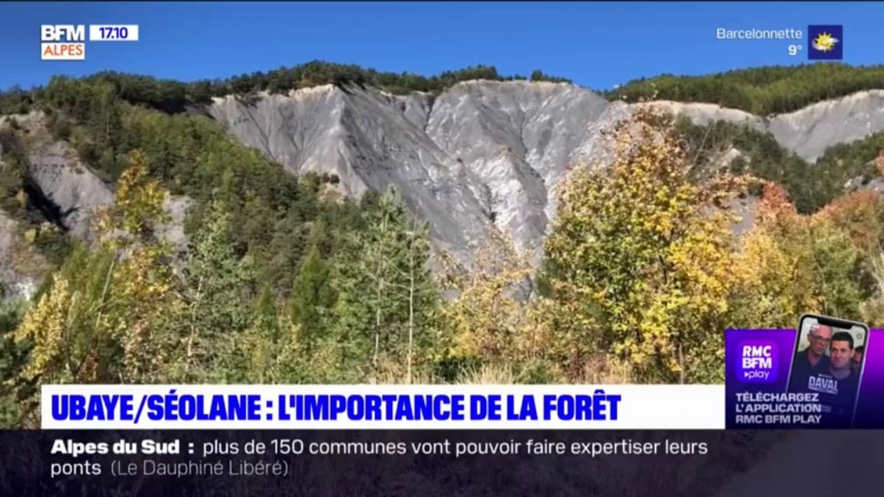 Forêt du Riou-Bourdoux: sensibilisation des étudiants au réchauffement ...
