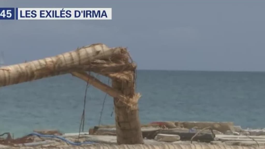 GRAND ANGLE - Les exilés d'Irma