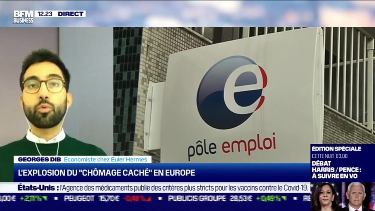 Georges Dib (Euler Hermes) : L'explosion du "chômage caché" en Europe ...