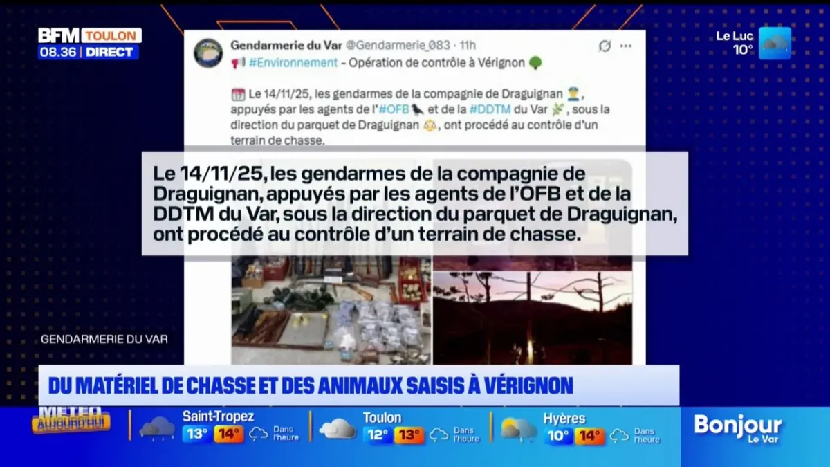 Braconnage dans le Haut Var : du matériel de chasse et des animaux ...